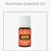 Ravintsara Young Living Essential Oil Blend 5 Ml - Etsy