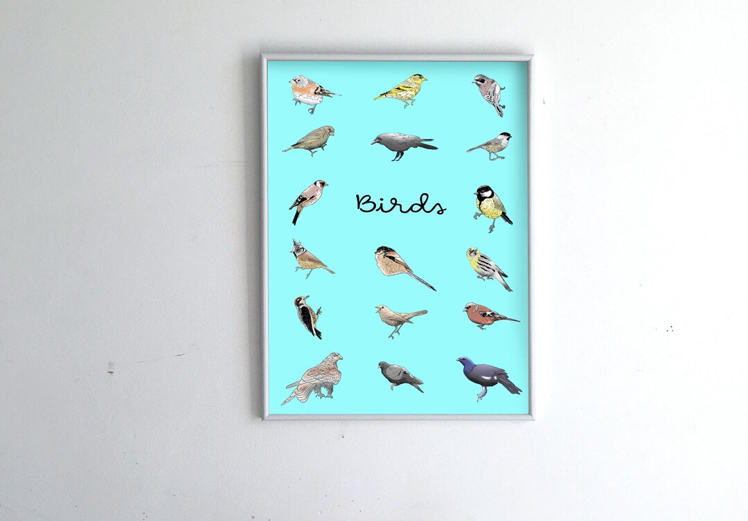 Bird Poster - Etsy