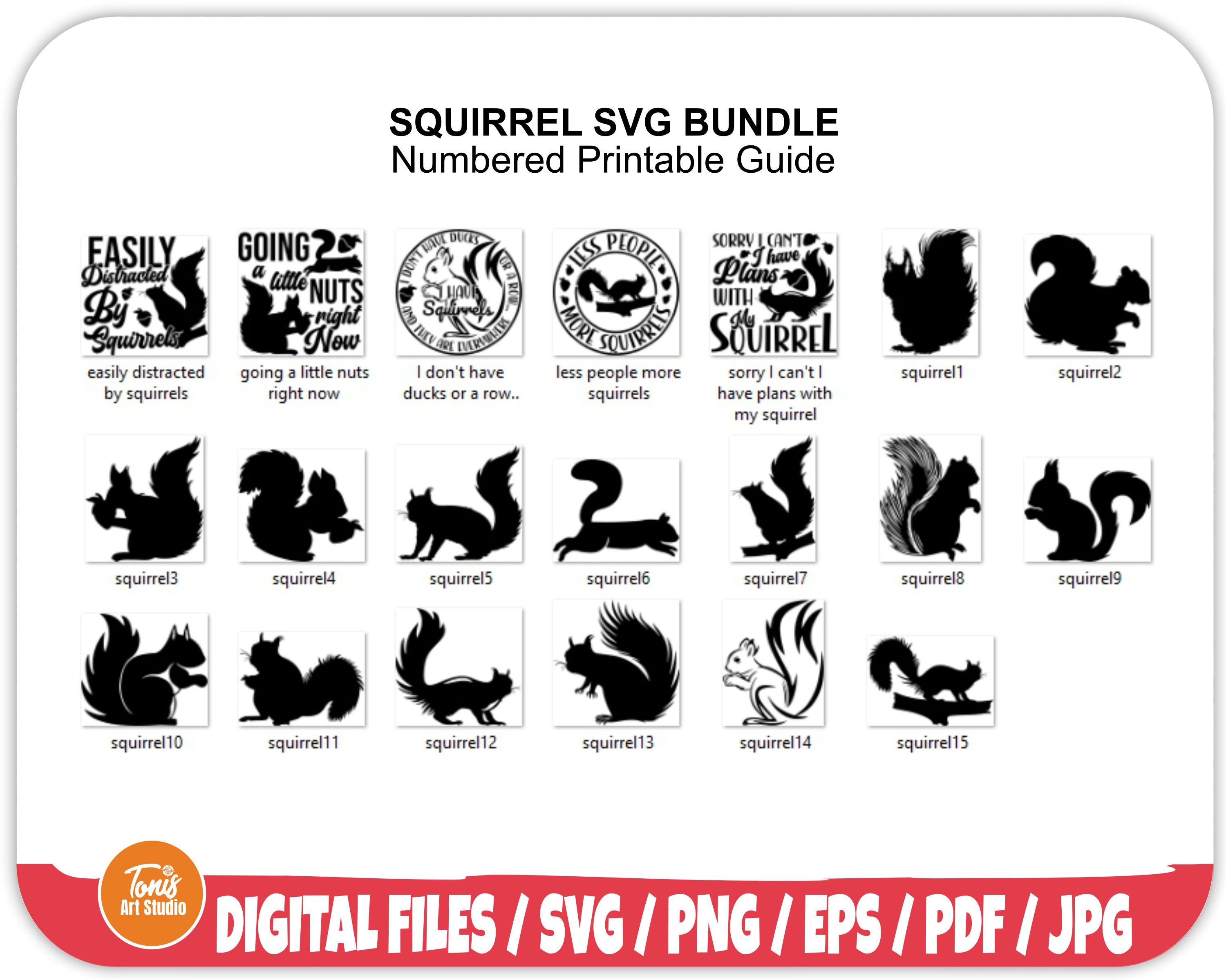 Squirrel Svg Squirrel Silhouette Squirrel Clipart Vector - Etsy