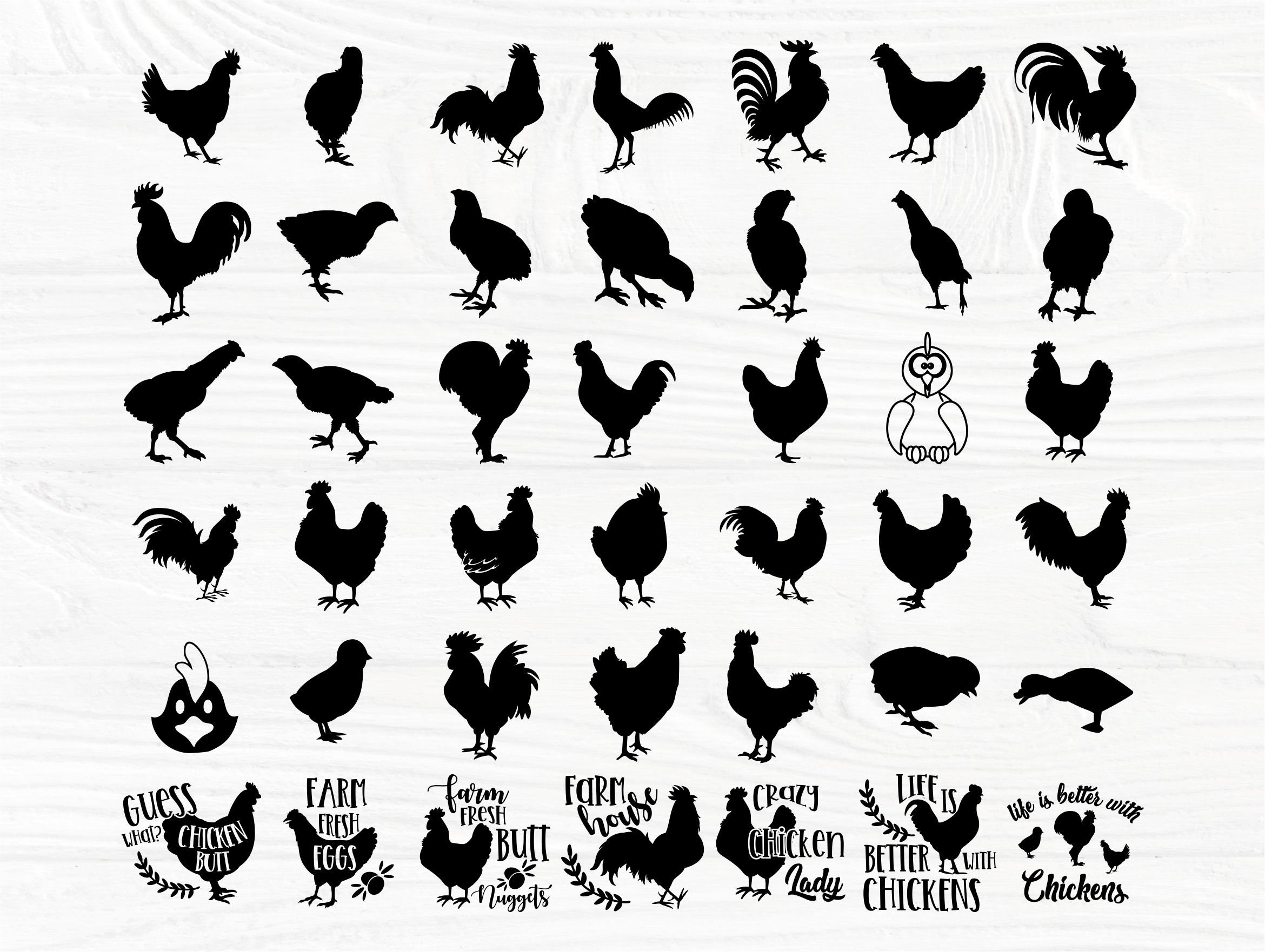 Chicken SVG Bundle Funny Chicken Svg Farm Svg Rooster - Etsy