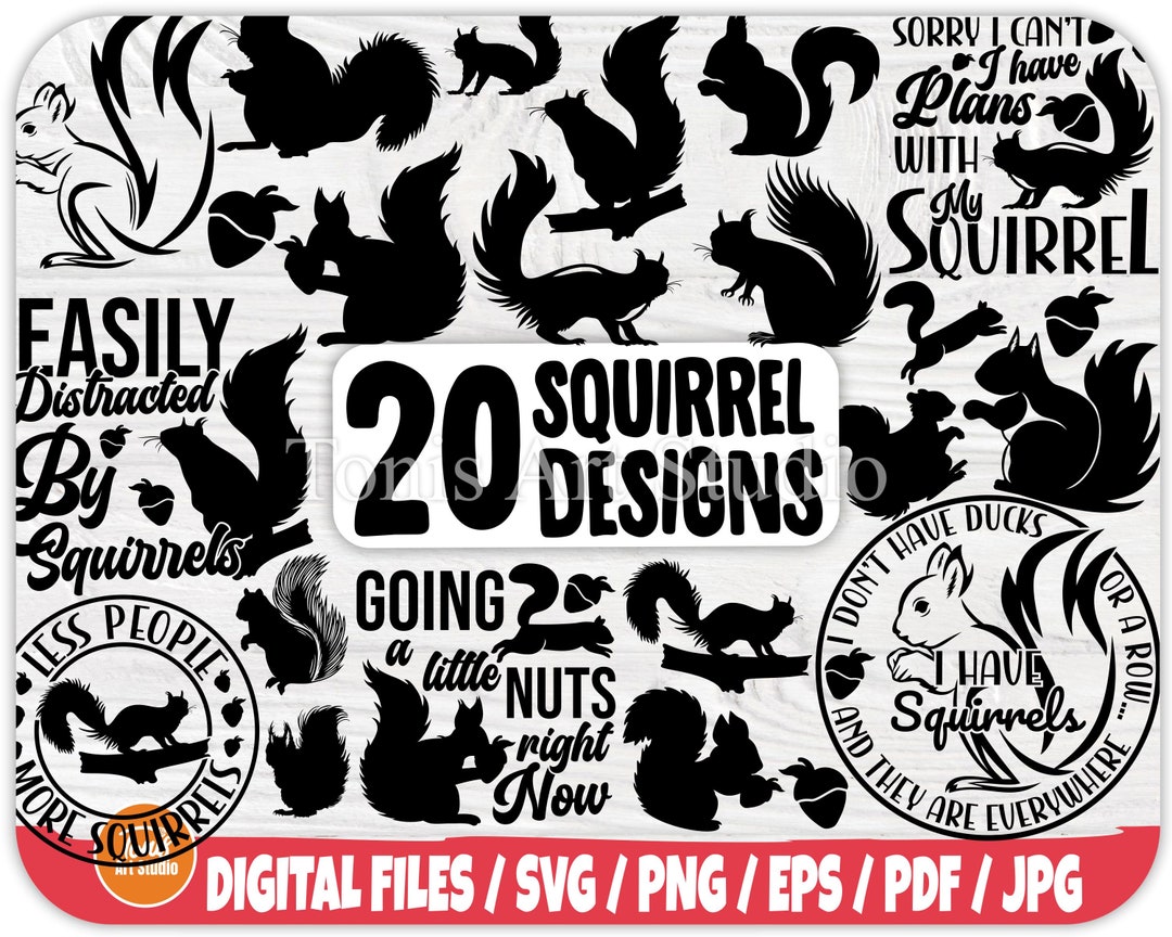Squirrel Svg | Squirrel Silhouette | Squirrel Clipart | Vector | Cricut ...