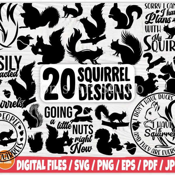 Squirrel Svg - Etsy