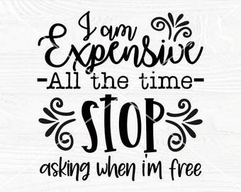 I Am Expensive Shirt - Etsy