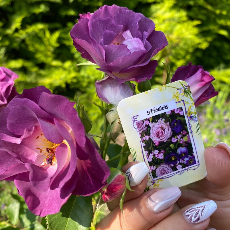 Mini Oracle Deck - Etsy