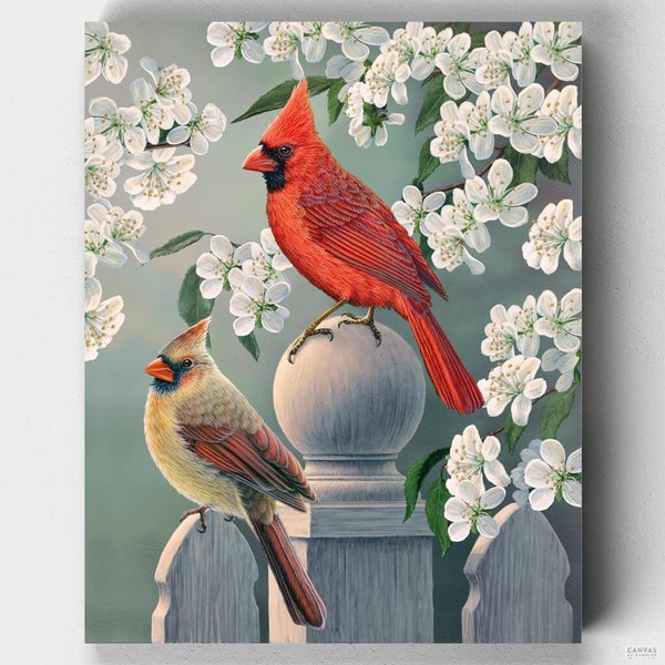 Cardinals Paint by Number - Etsy
