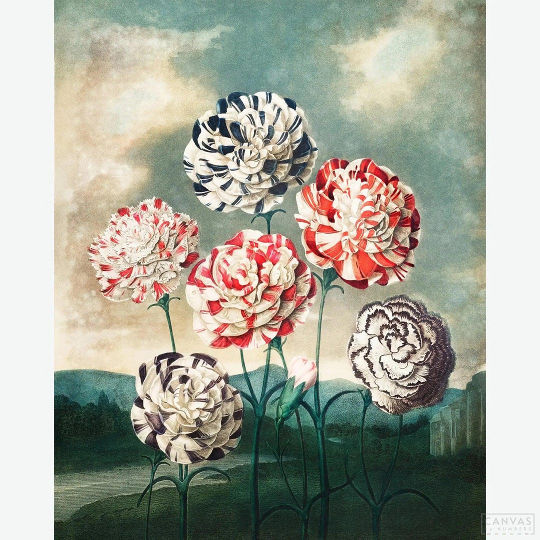 Premium Diamond Painting (large Size) - Group of Carnations - Diamond ...