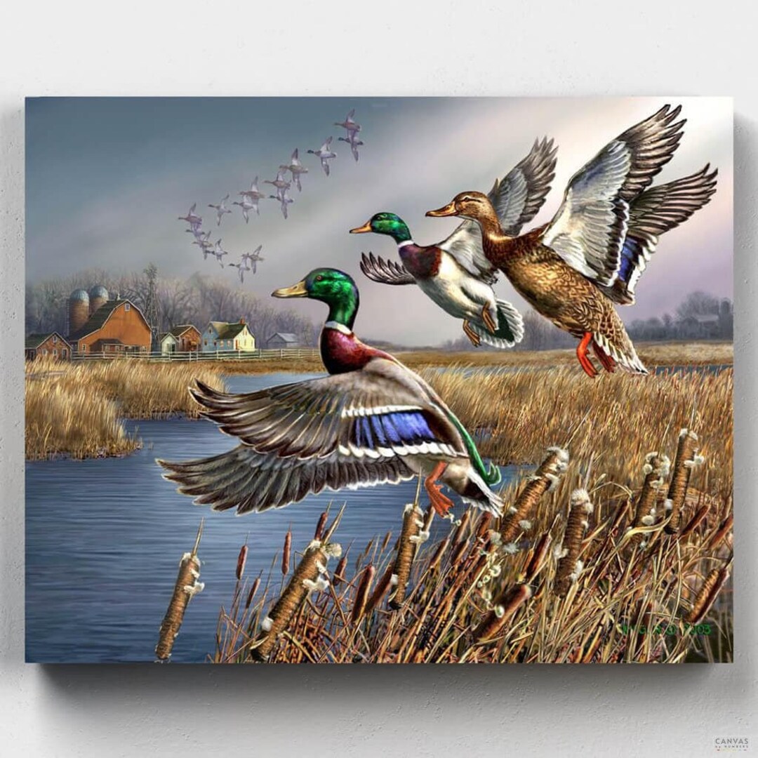 Premium Paint by Numbers Kit - Outback Mallards - James Meger - Canvas ...