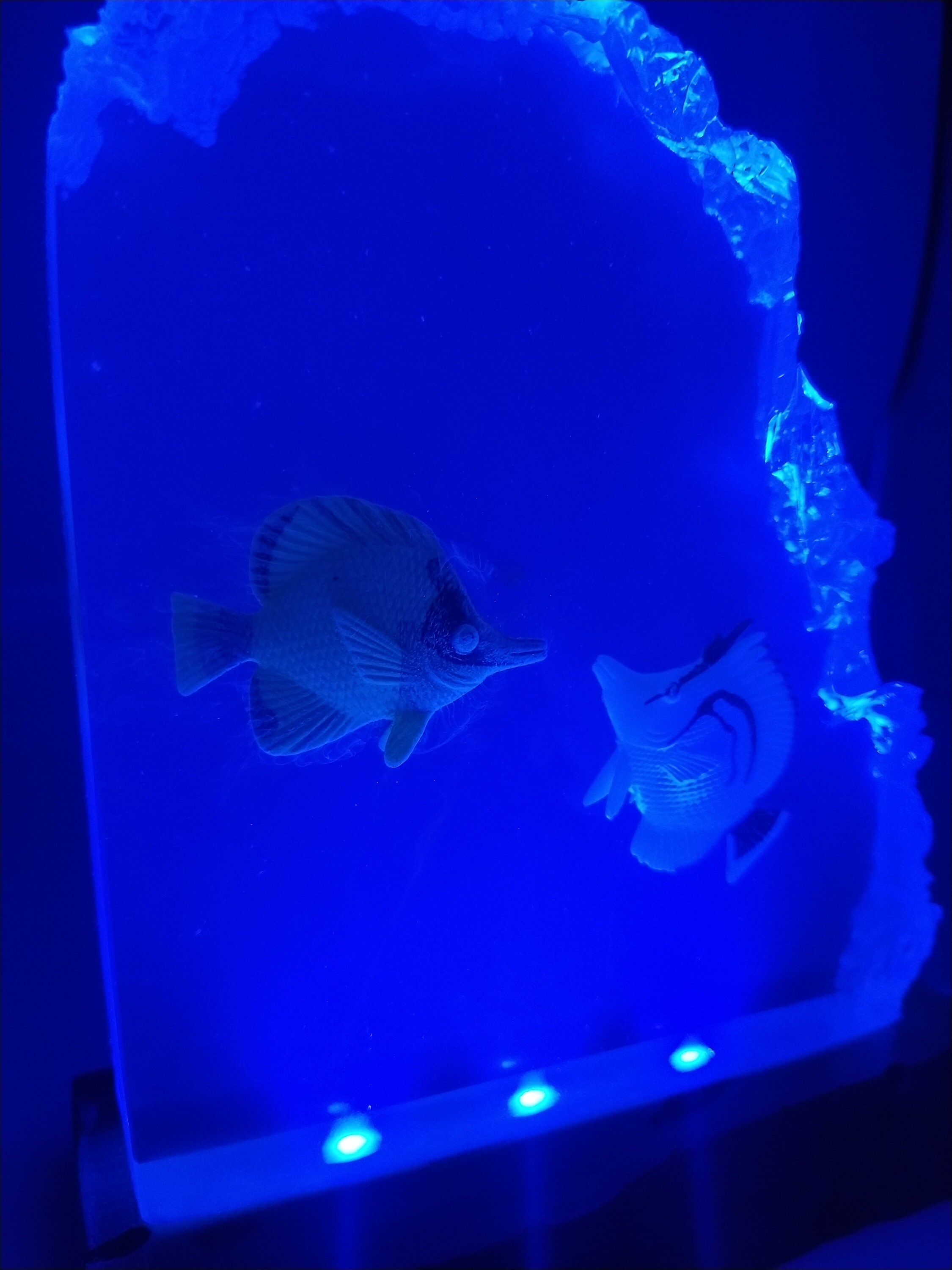 Angel Fish Epoxy Resin Night Light, Unique Resin Aquarium Table Lamp ...