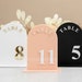 Arch Table Numbers Table Numbers Acrylic Table Numbers - Etsy