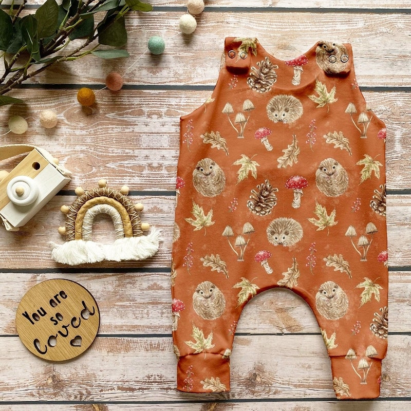 Hedgehog Baby Clothes - Etsy UK