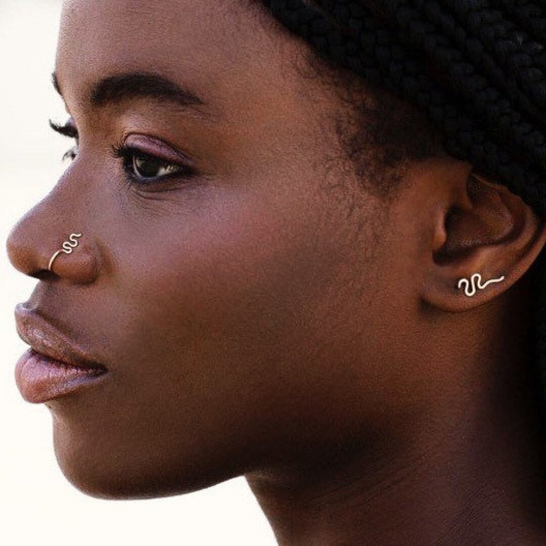 Snake Gift Set, Snake Fake Nose Piercing Ring, Snake Ear Climbers ...