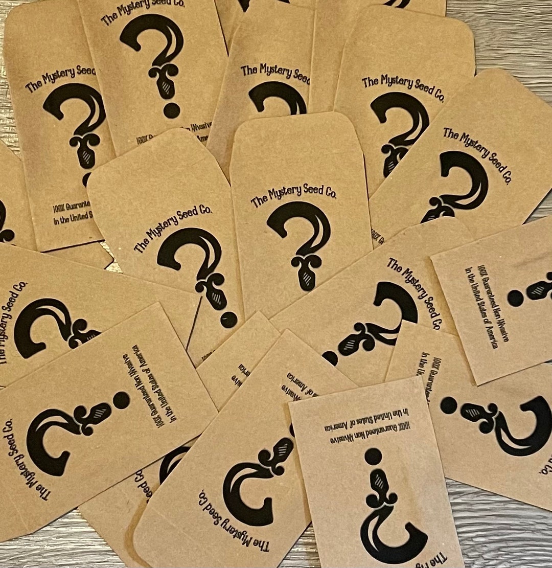 Mystery Seed Packet - Etsy