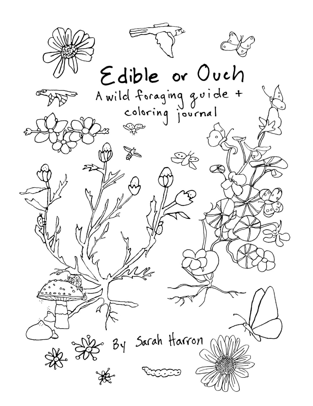 Coloring Book Foraging Flowers Wild Crafting Children Sustainability ...