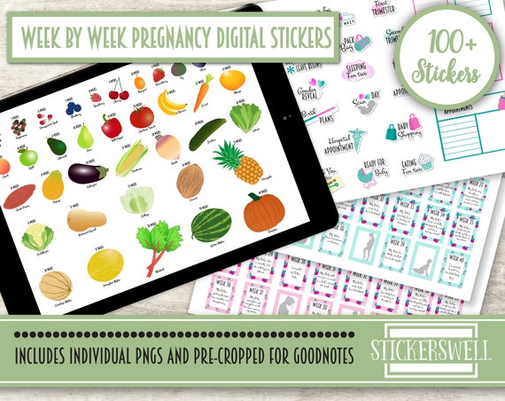 Pregnancy Digital Planner Stickers Pregnancy Fruit Planner Stickers ...