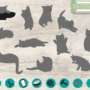 Cat Care Digital Planner Stickers, 14 Pre-cropped Cat Care Digital ...