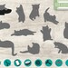 Cat Care Digital Planner Stickers, 14 Pre-cropped Cat Care Digital ...
