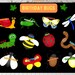 Insect Classroom Decor Bug Theme Insect Poster Classroom Poster