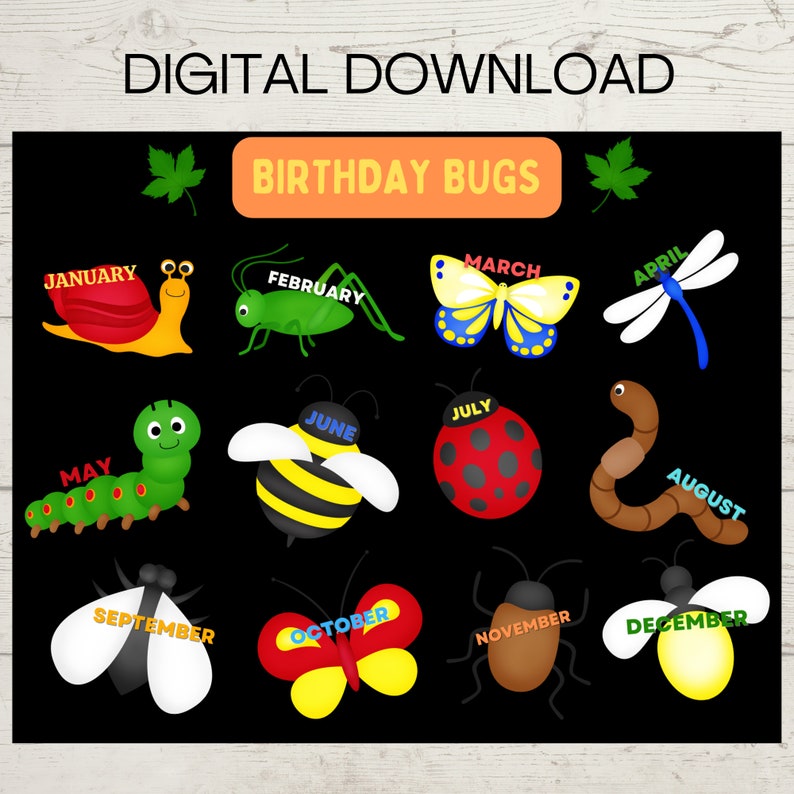 Insect Classroom Decor, Bug Theme, Insect Poster, Classroom Poster ...