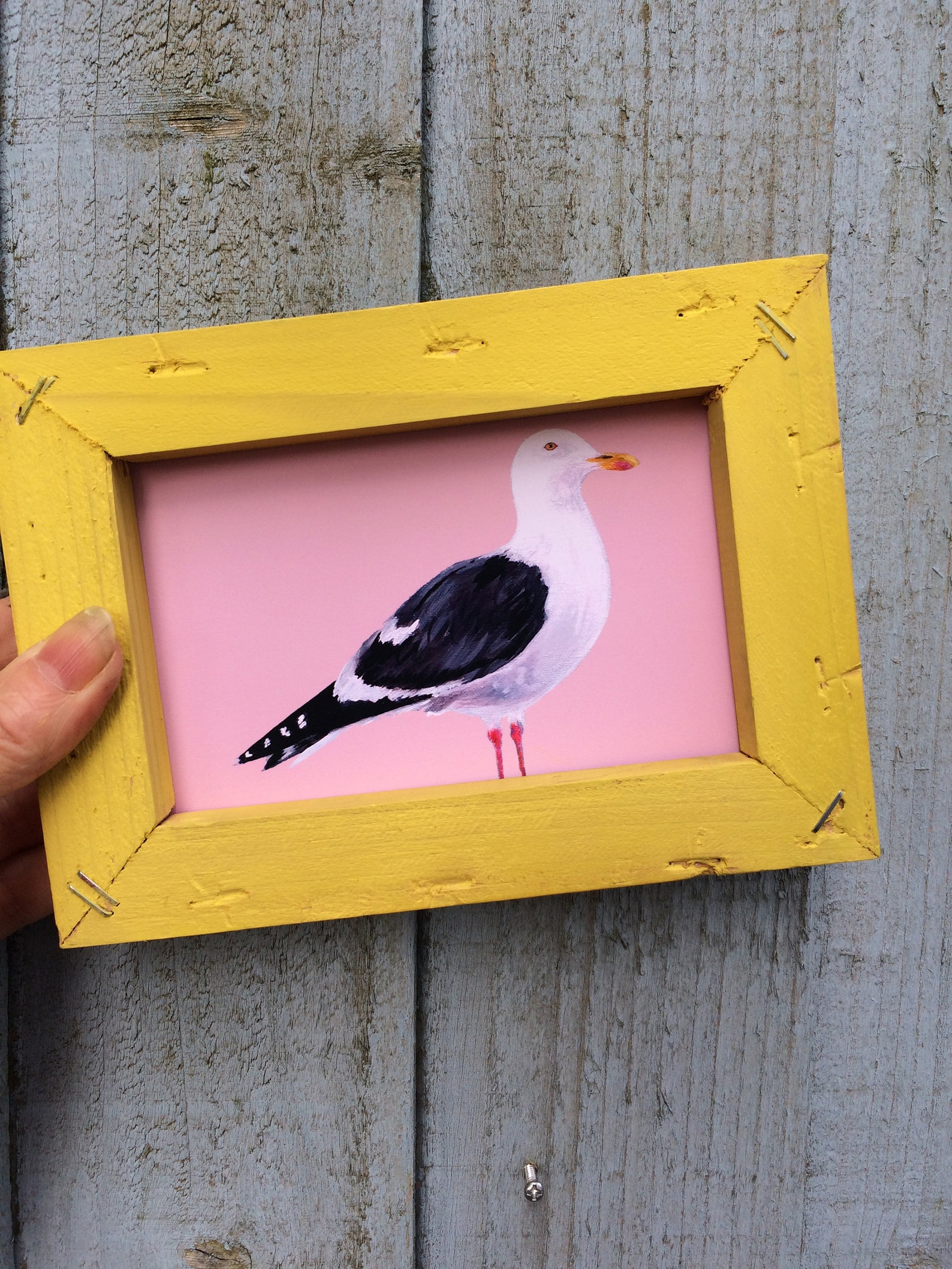 Seagull Gull Art Print in Rough Cut Handmade up Cycled Frame - Etsy UK