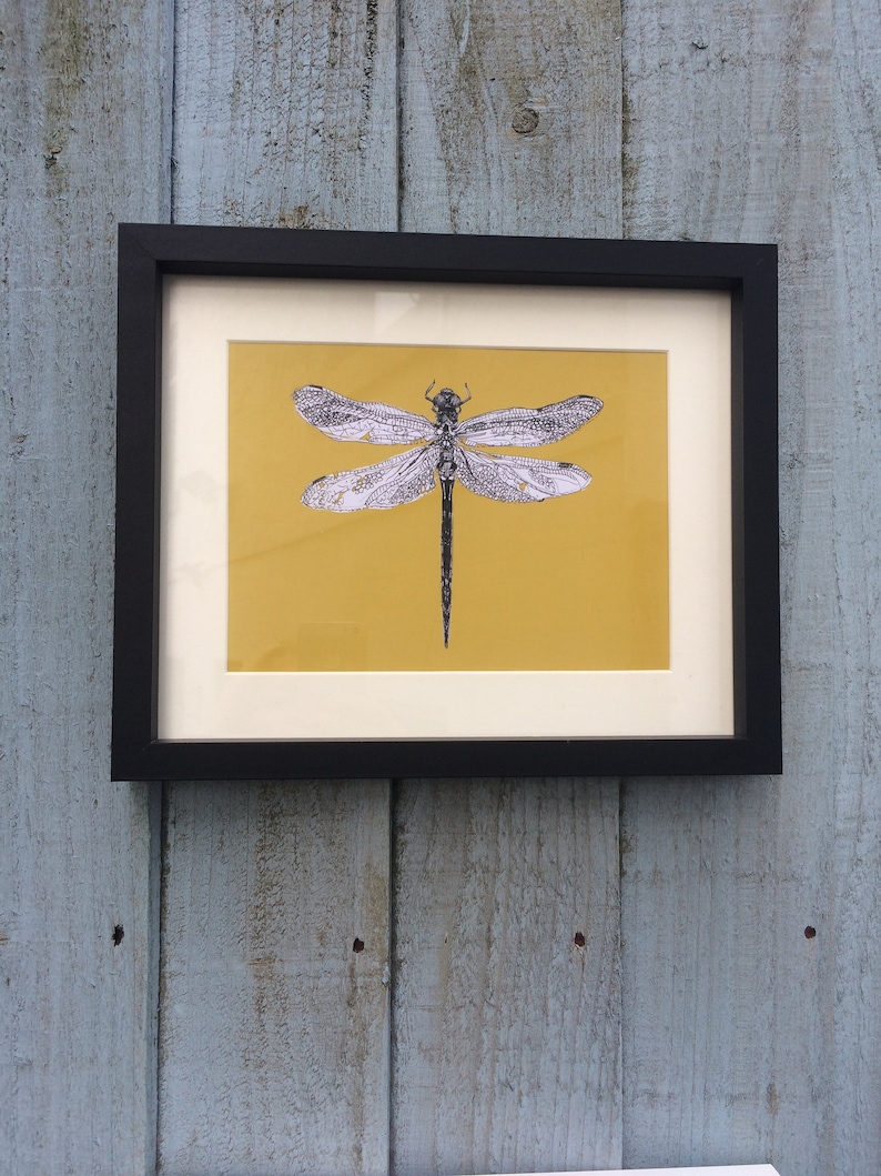 Striking Dragonfly Print Available Framed Any Colour Perfect - Etsy UK