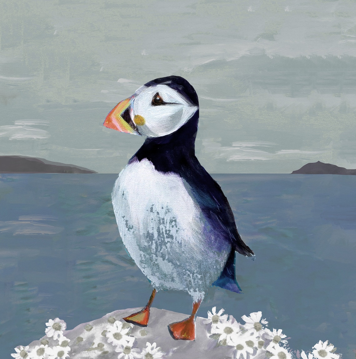 Puffin Print Signed Available Framed FAST POST Charming British Seabird ...