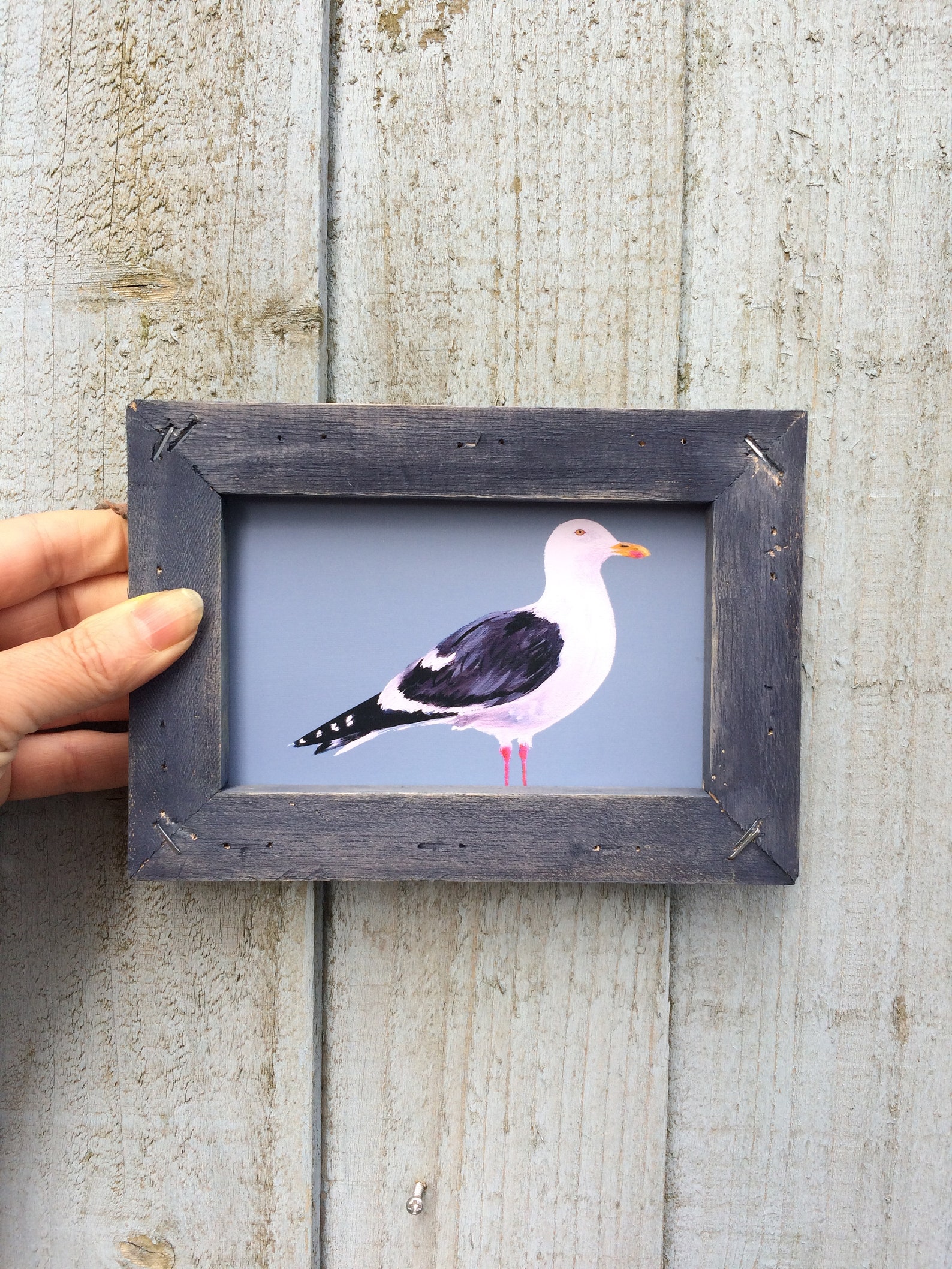 Seagull Gull Art Print in Rough Cut Handmade up Cycled Frame - Etsy UK