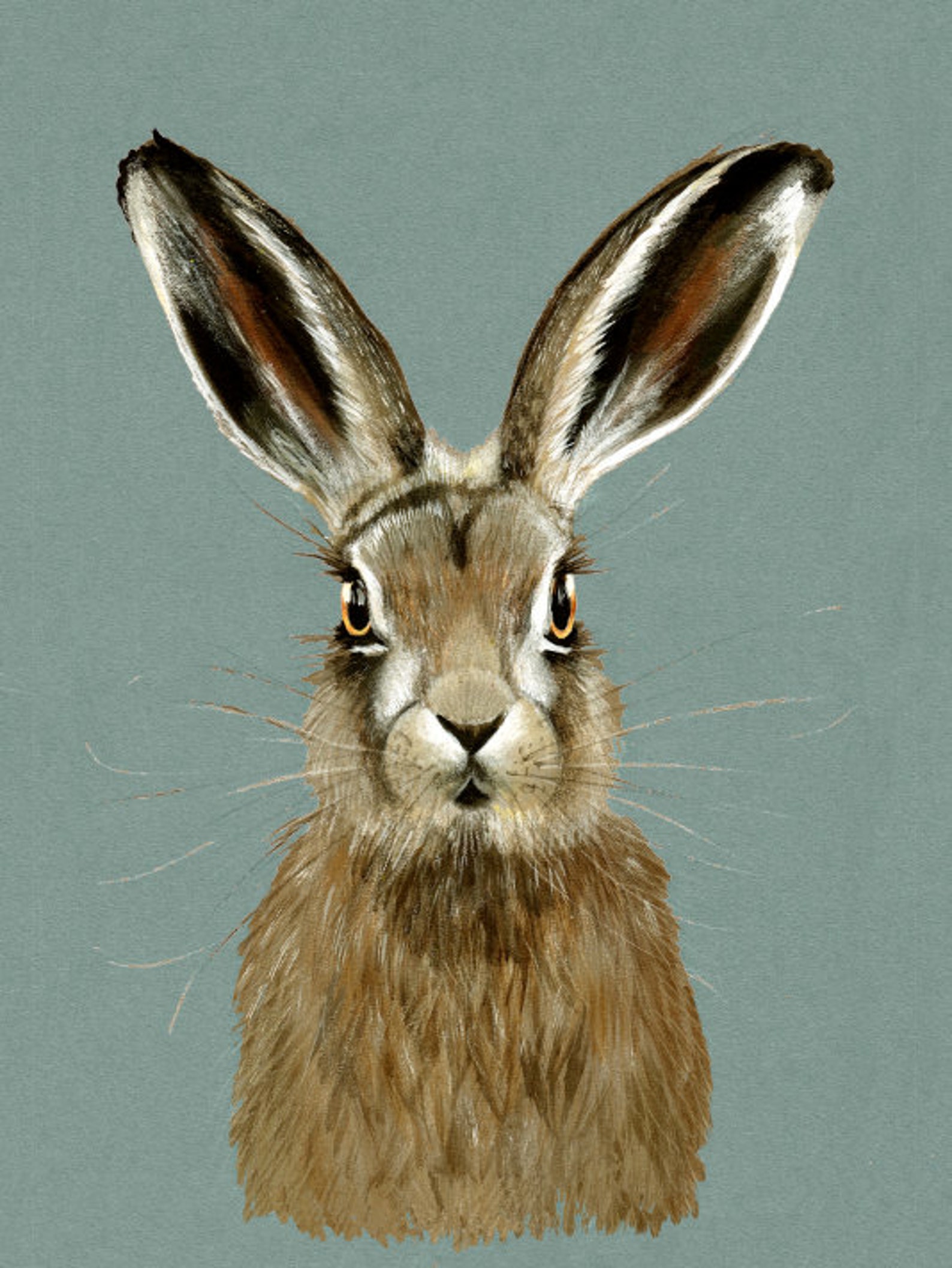 Hare Print Signed From Watercolour Painting Picture Also - Etsy UK