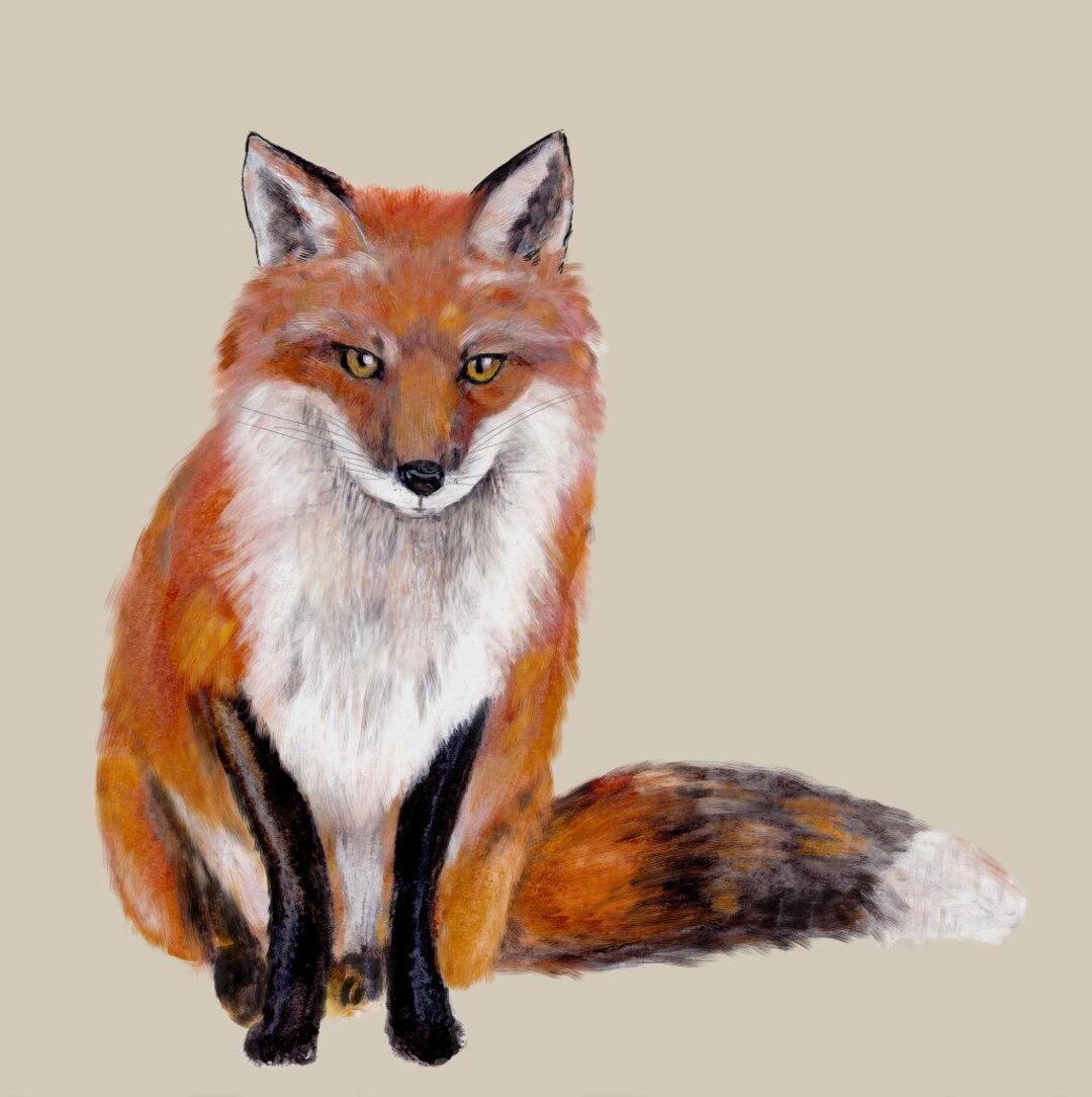 Fox Art Print From Original Watercolour Painting Framed Country Home ...