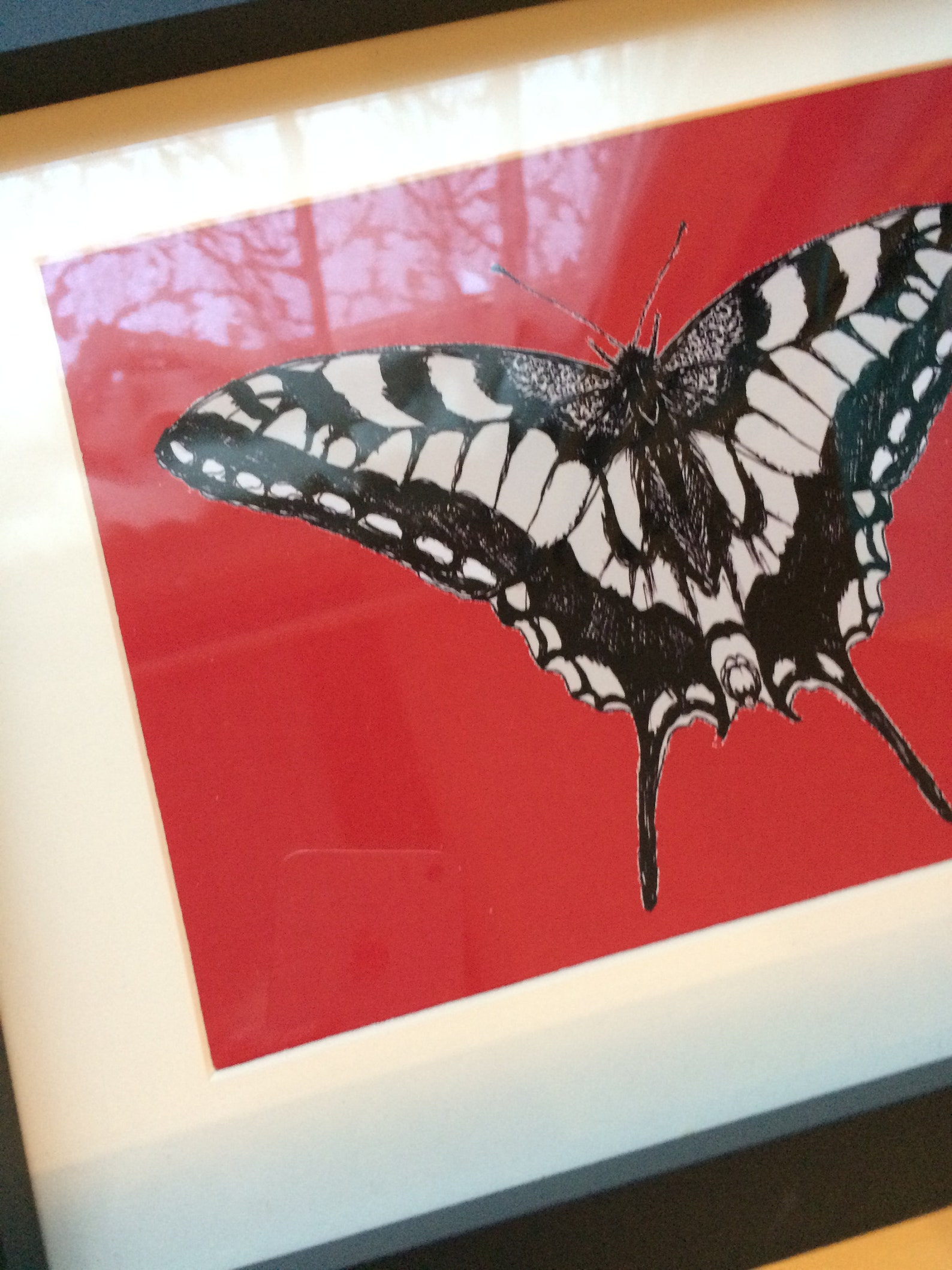 Striking Butterfly print framed any colour stylish country | Etsy