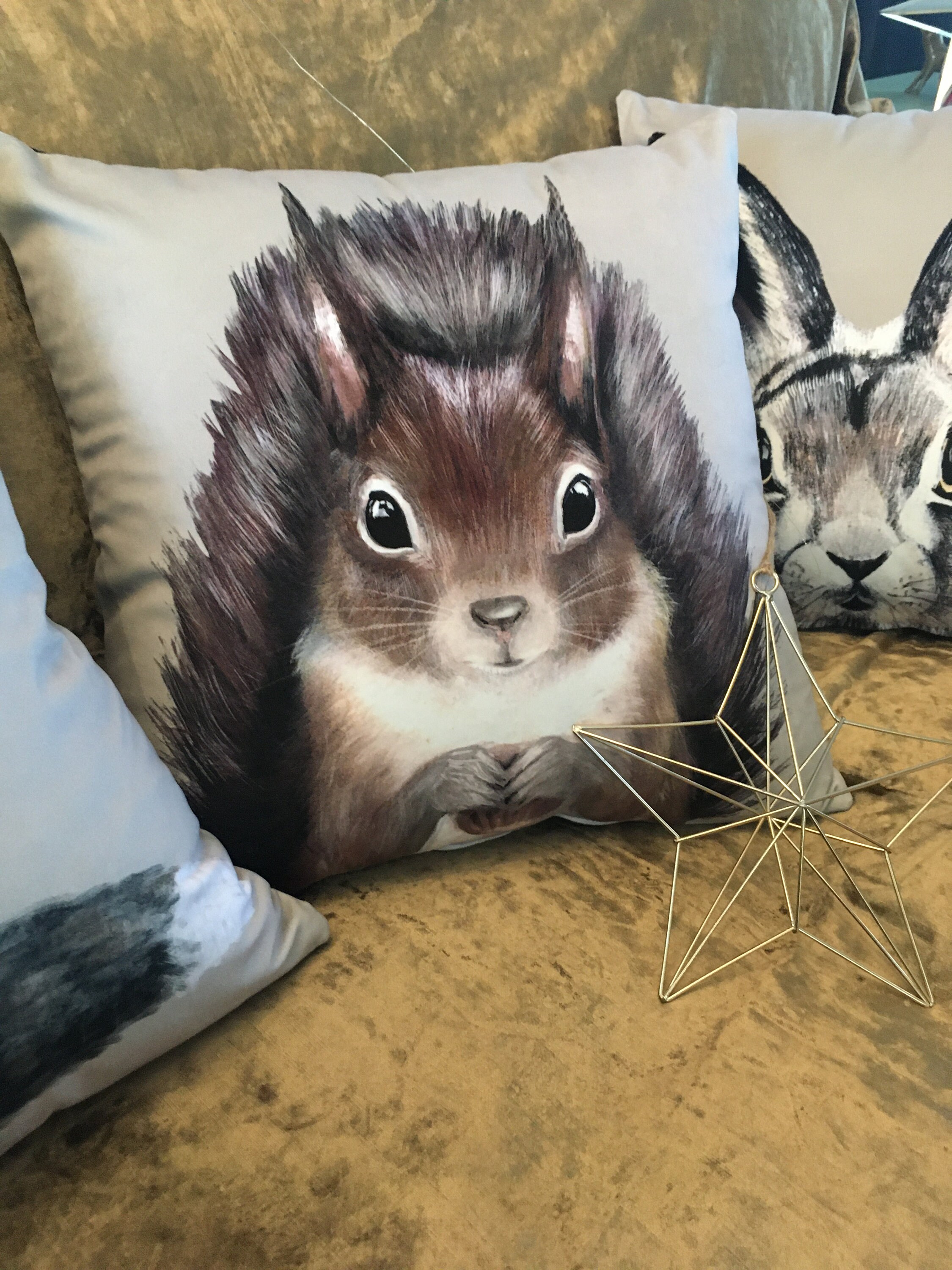 Red Squirrel Cushion Cover Velvet in Elephant Breath Grey - Etsy Australia