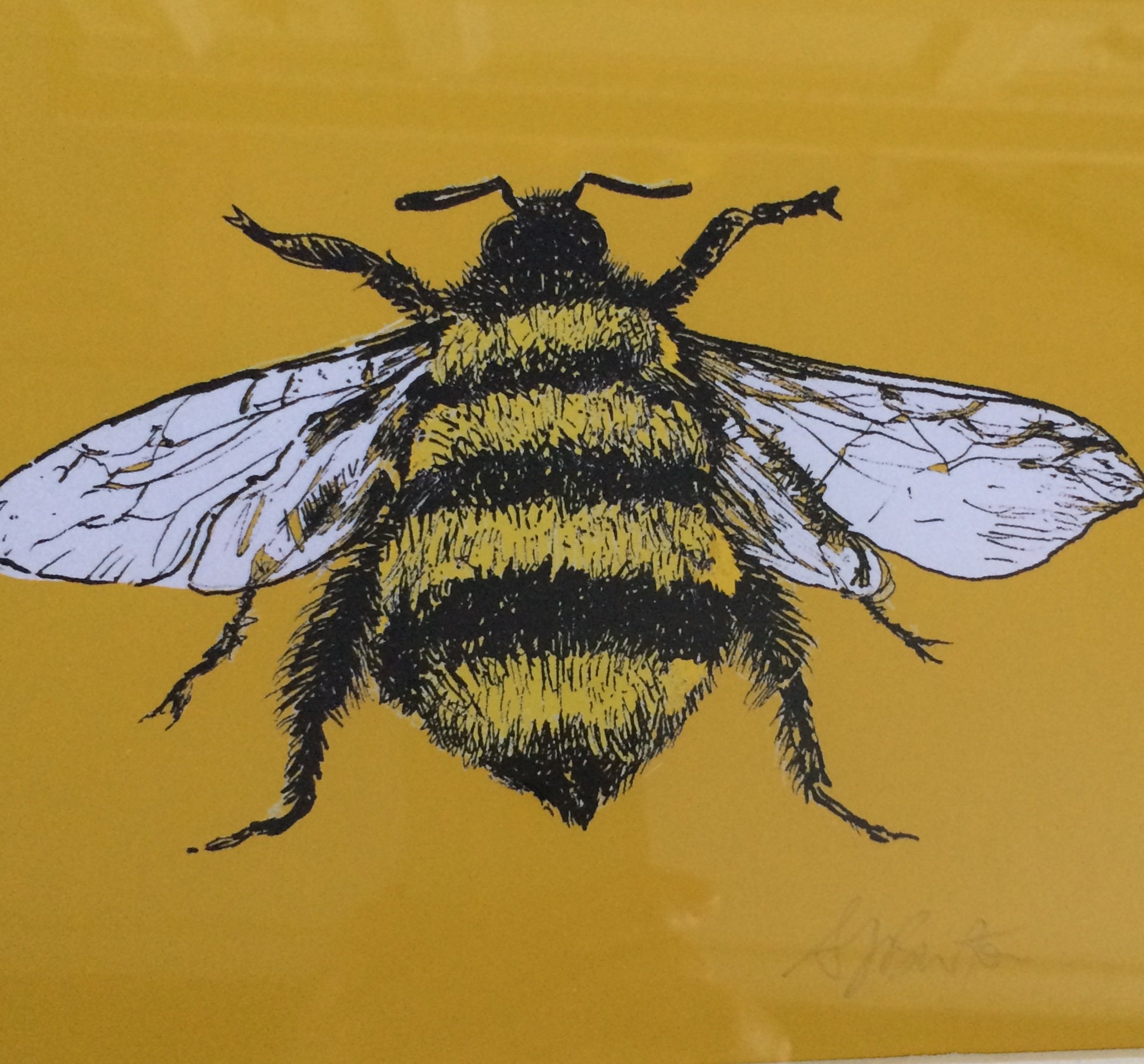 Bee Print From Pen and Ink Signed Various Colour Grounds - Etsy UK