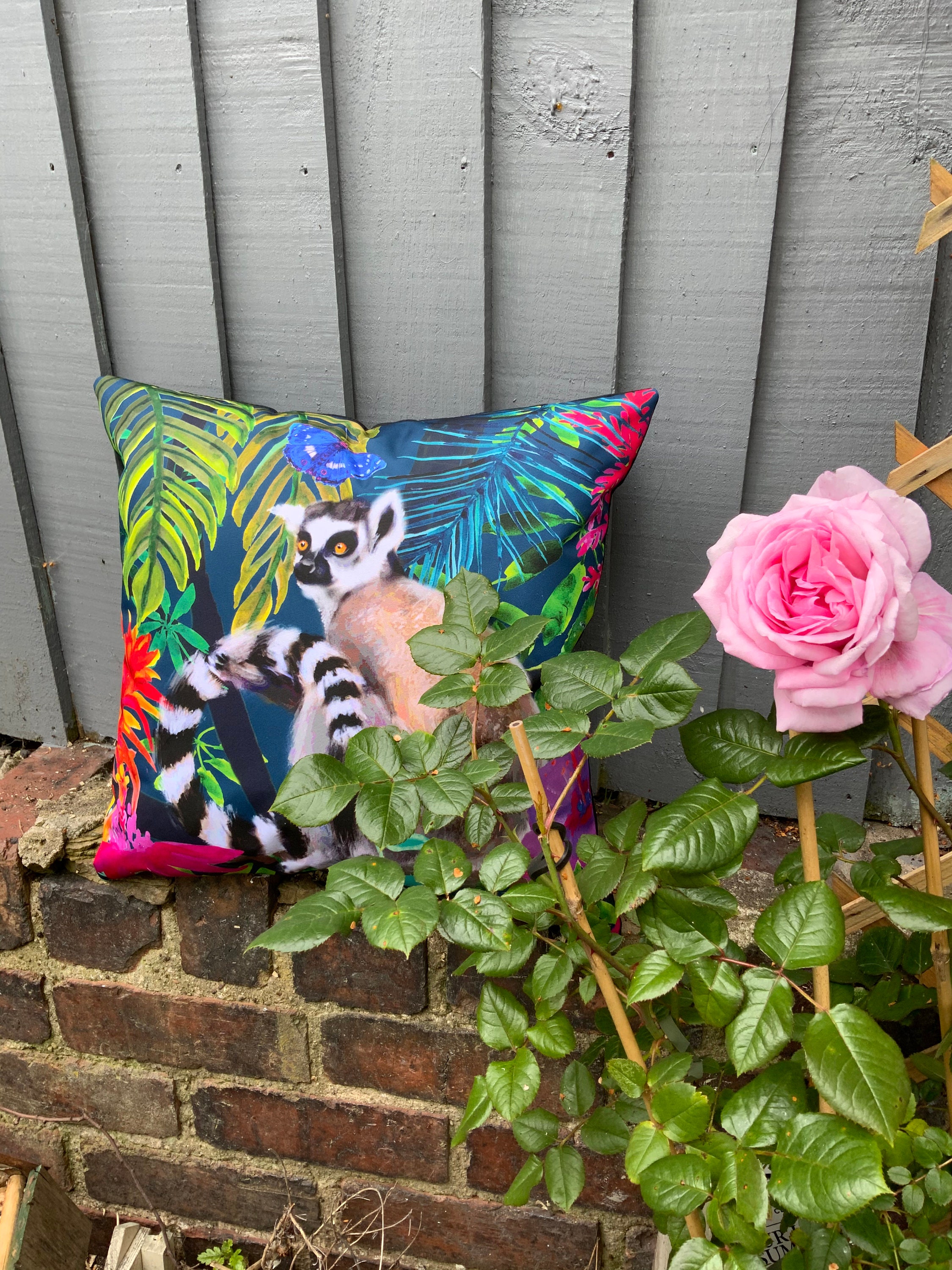 Ring Tailed Lemur Outdoor Monkey Cushion Covers Petrol Blue - Etsy UK