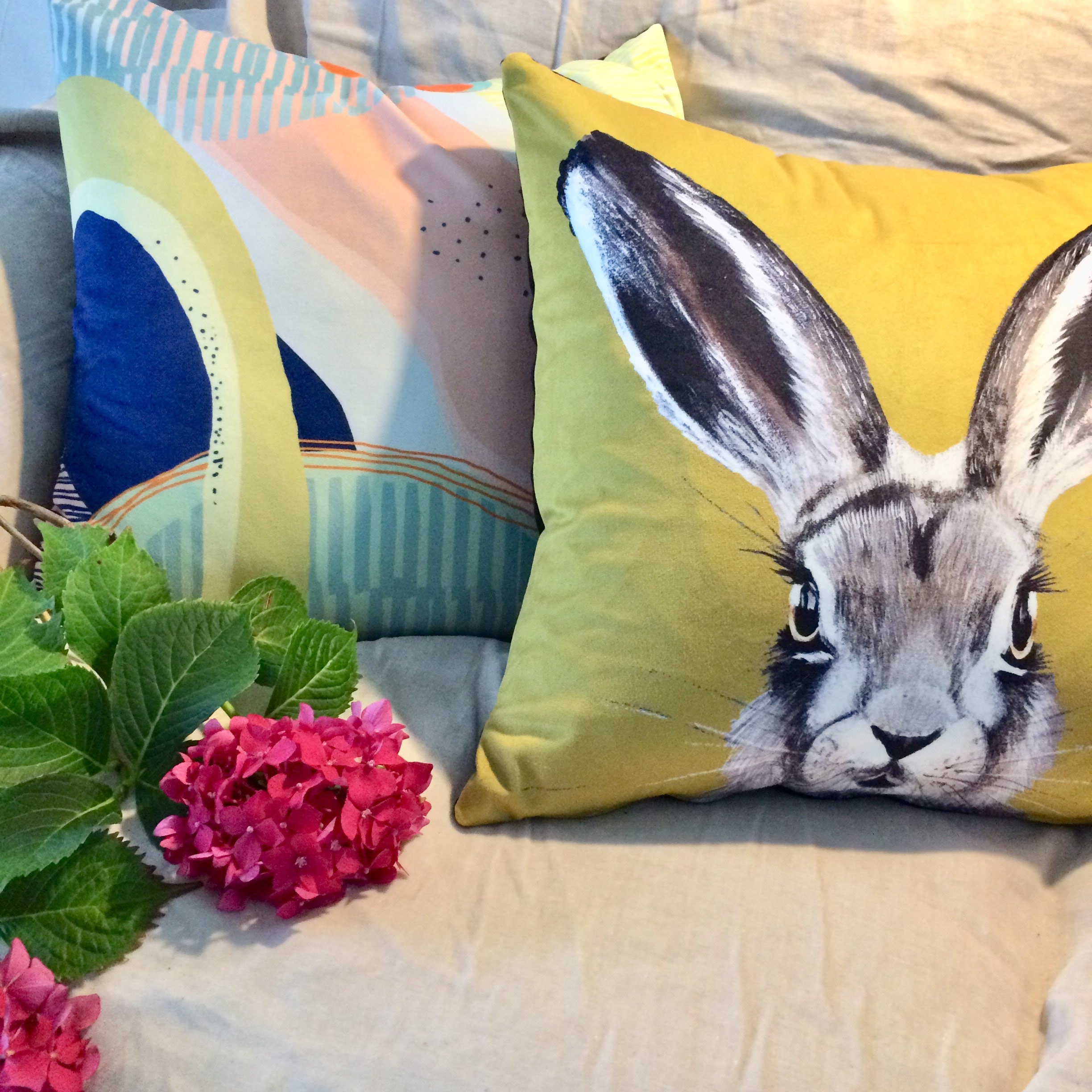 Hare cushion covers in various contemporary colours velvet | Etsy