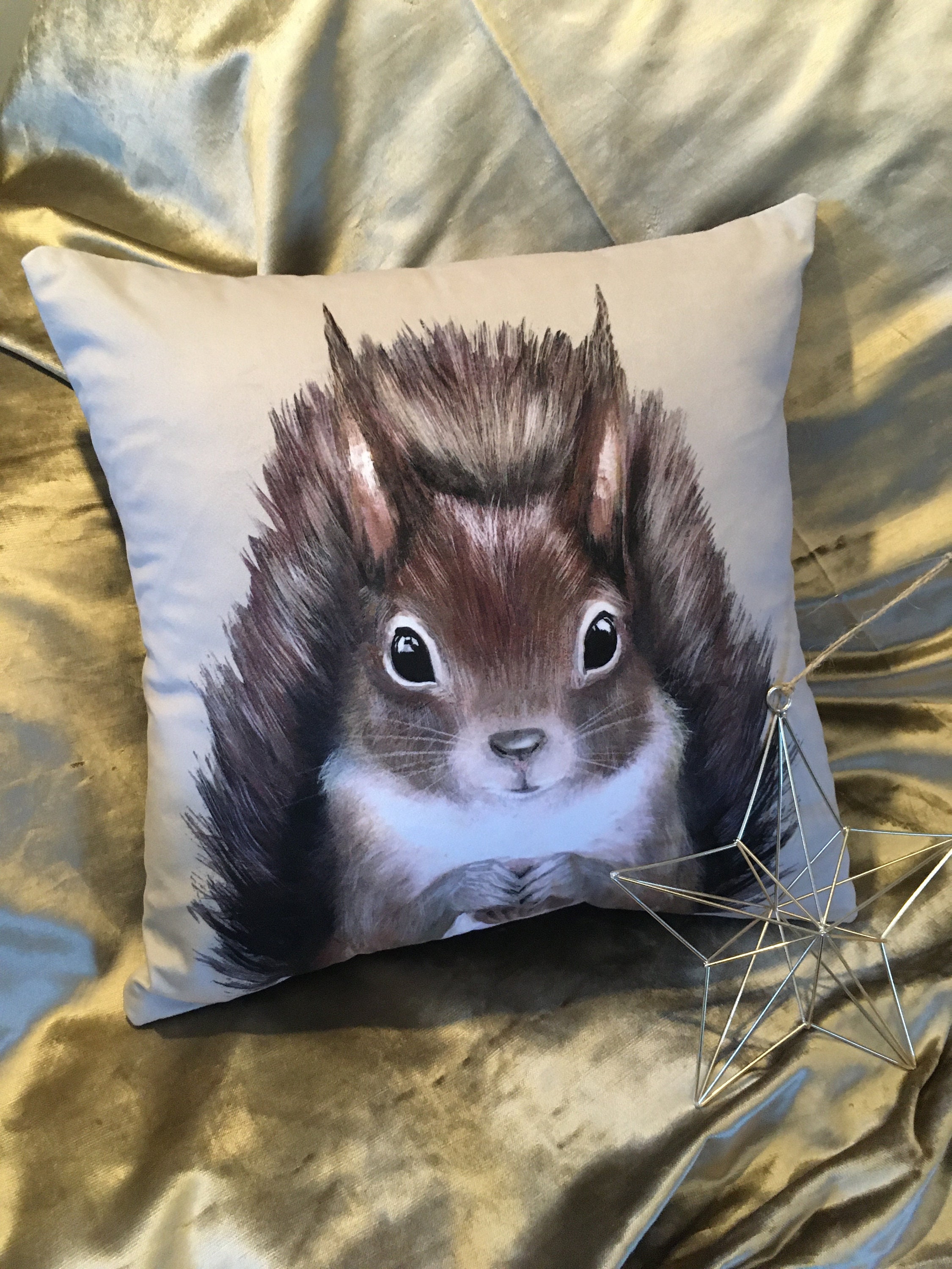 Red squirrel cushion cover velvet in elephant breath grey | Etsy