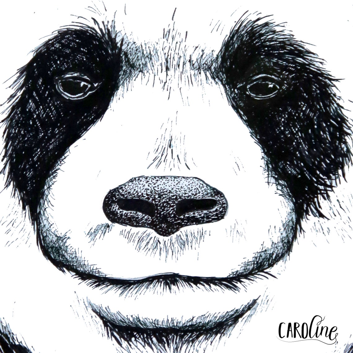 Panda Bear, Original Wall Art, Ink on Paper - Etsy
