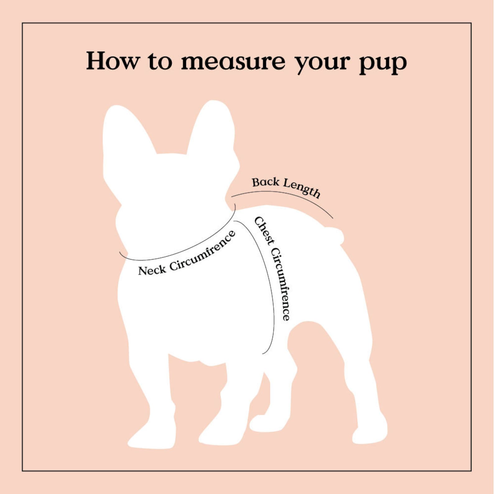 Frenchie Clothes Frenchie Bulldog Clothes and Sweater | Etsy