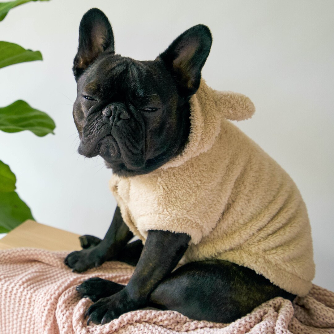 Frenchie Clothes, Frenchie Bulldog Clothes and Sweater - Etsy
