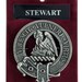 Stewart Cap Badge - Pewter Clan Crest Badge - Gaelic Themes Cap Badge ...