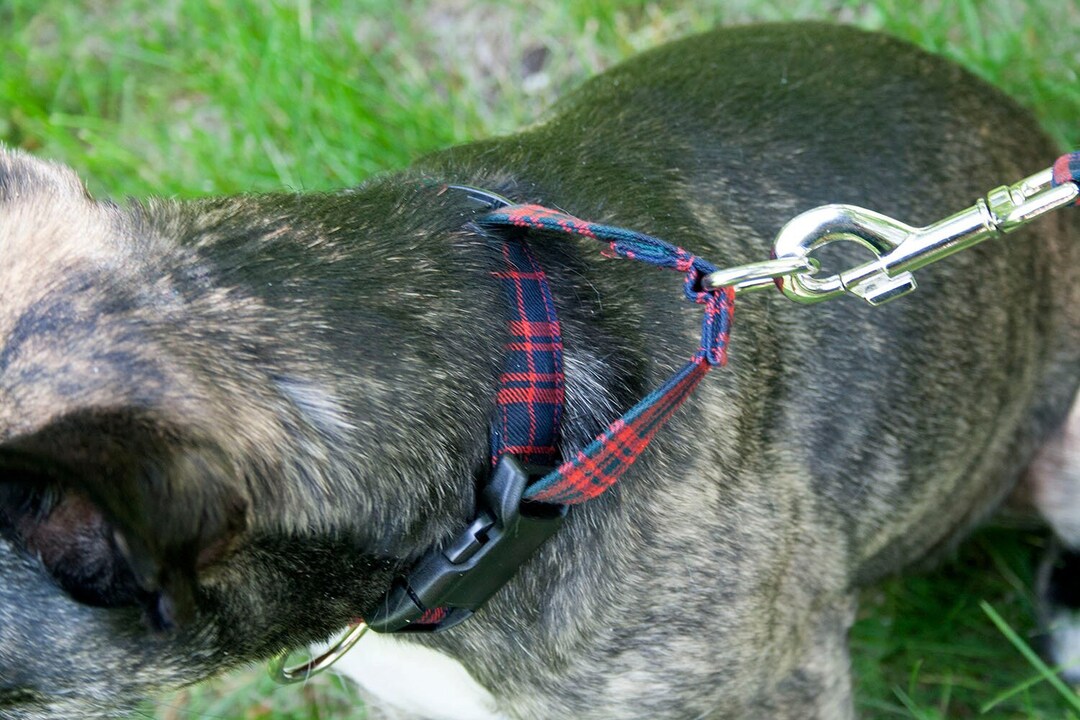 1-inch-wide Dog Collar | A-L Tartans | Homespun Wool Blend - Etsy