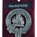 Mackenzie Cap Badge Pewter Clan Crest Badge Gaelic Themes - Etsy