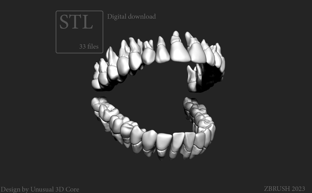 STL Model of Human Teeth for the Head 3D Printing and Animation - Etsy