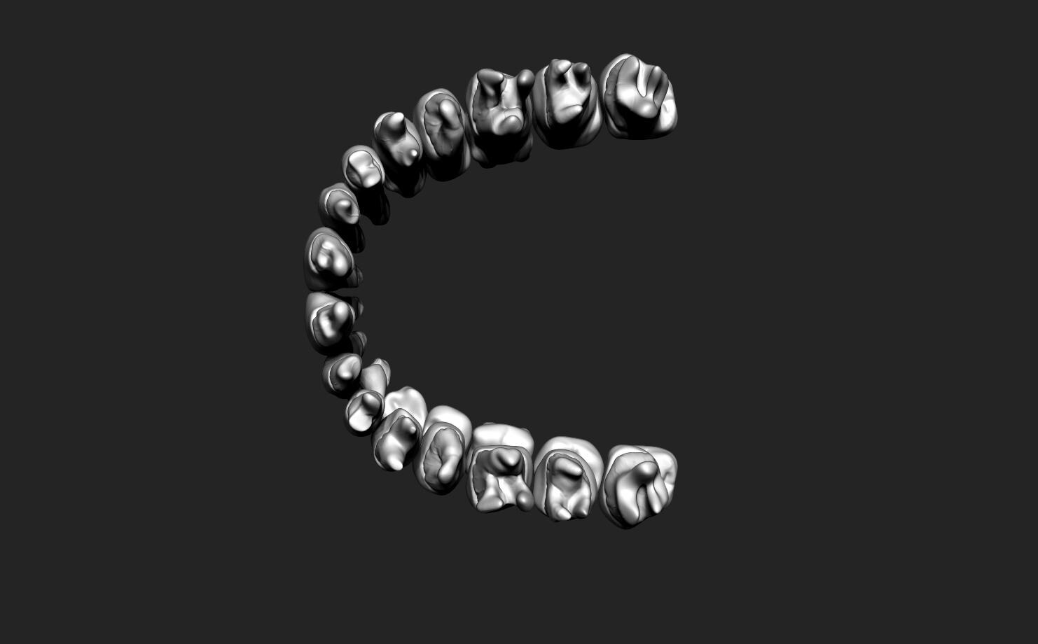 STL Model of Human Teeth for the Head 3D Printing and Animation - Etsy