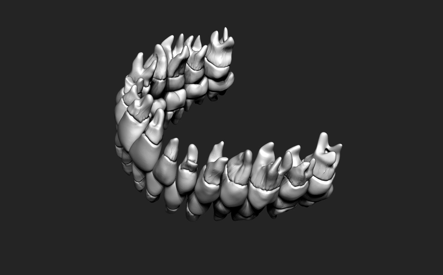 STL Model of Human Teeth for the Head 3D Printing and Animation - Etsy