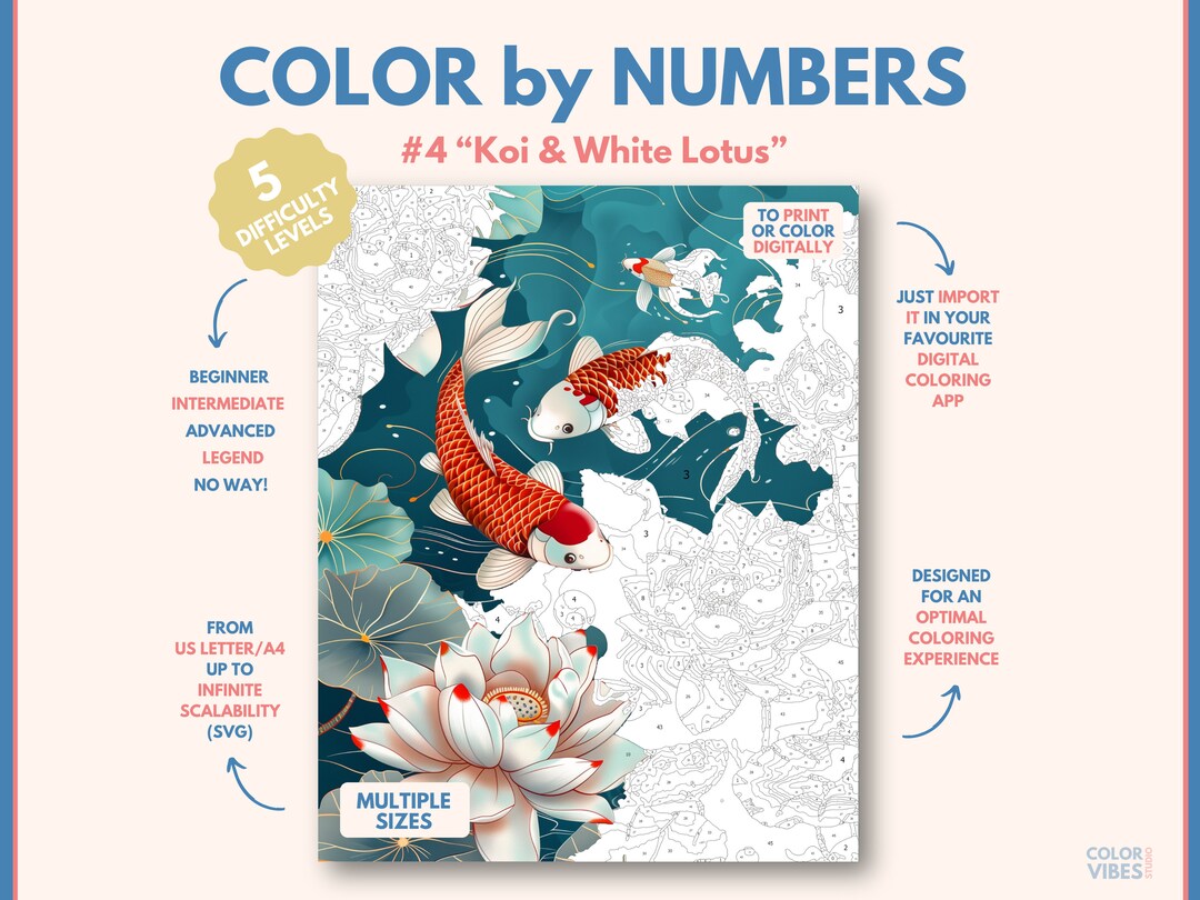 Color by Numbers for Adults koi & White Lotus / DIY Paint by Numbers ...