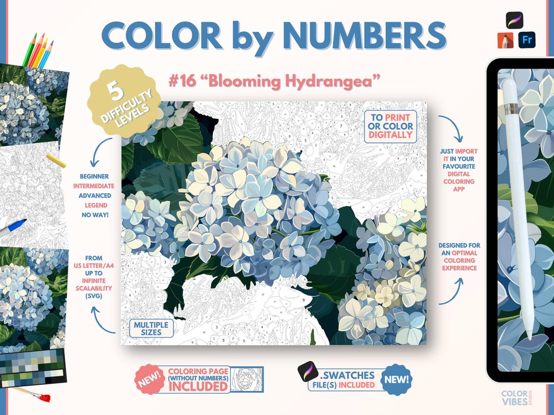 Color by Numbers for Adults “blooming Hydrangea” / Printable Paint by Numbers / Digital Coloring ...