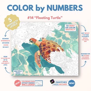 Color by Numbers for Adults “floating Turtle” / Printable Paint by ...