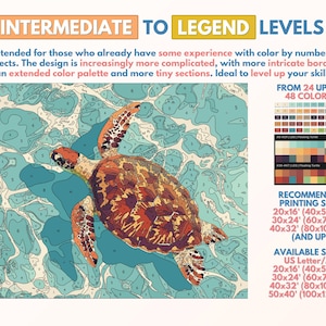 Color by Numbers for Adults “floating Turtle” / Printable Paint by ...