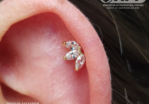 14k Solid Gold Labret 3 Marquise Reverse Screw Tragus Ear | Etsy