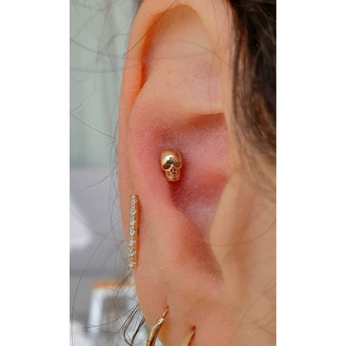 14k Solid GOLD SKULL Reverse Screw Traguslabret Ear - Etsy