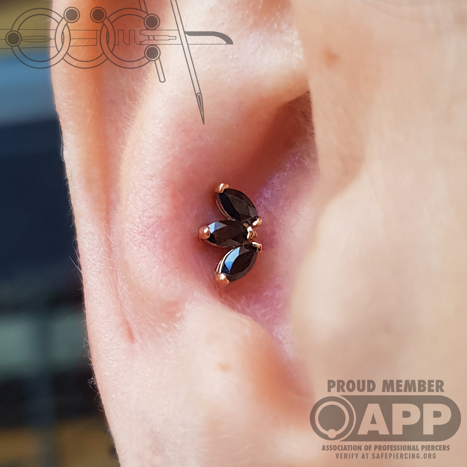 14k Solid Gold Labret 3 Marquise Reverse Screw Tragus Ear - Etsy